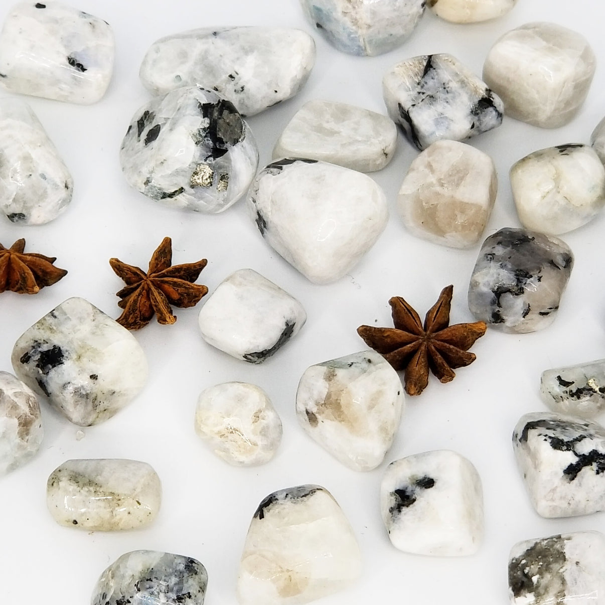 White Moonstone - Tumbled – Maude's Paperwing Gallery
